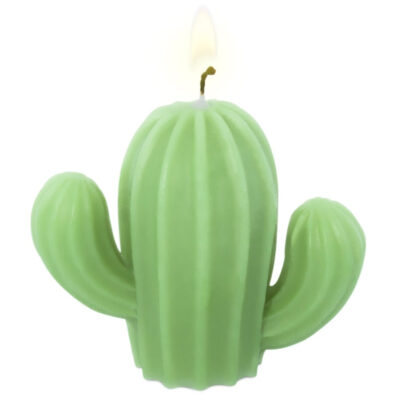Descubre como hacer tu propio terrario de Cactus en vela.